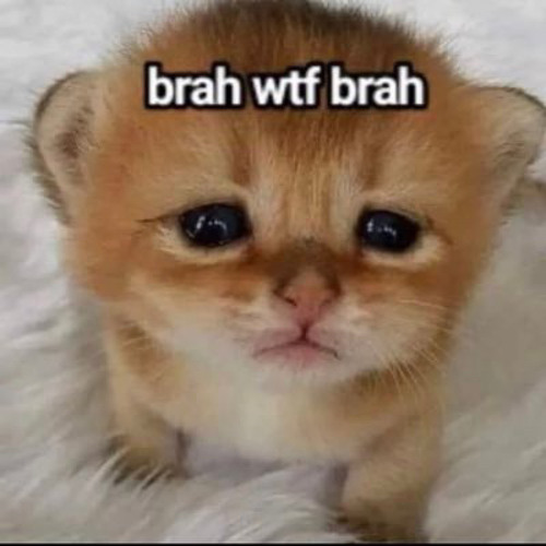 Stream nights last forever - capoxxo + yung shame + chamonix by ...