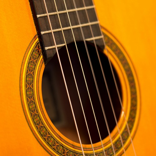 Stream The Rakes Of Donegal by Brian Bunker | Listen online for free on ...