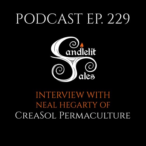 Stream episode Episode 229 - Interview with Neal Hegarty of CreaSol ...
