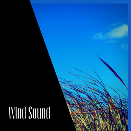 Stream Wind Sound by ASMR Wind Channel | Listen online for free on ...