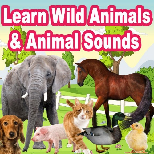 Stream Learn Wild Animals & Animal Sounds by Animal Noises for Kids ...