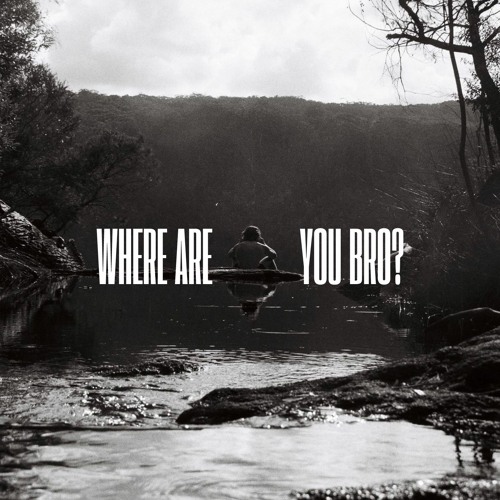 Stream WHERE ARE YOU BRO? by Earth Party | Listen online for free on ...