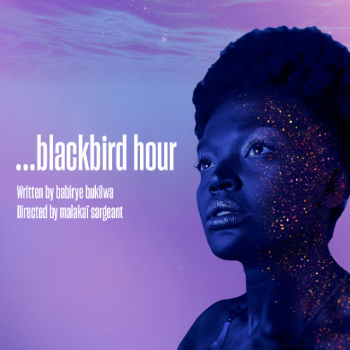 Stream blackbird hour 2025 - Audio introduction to the set, characters ...