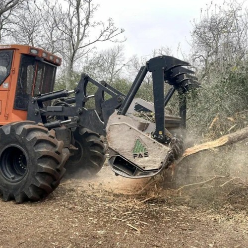 Stream Land Clearing, Cedar Clearing, Underbrush Removal, Cedar ...