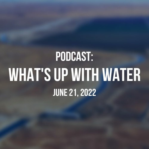 Stream What's Up With Water— June 21, 2022 by Circle of Blue | Listen ...