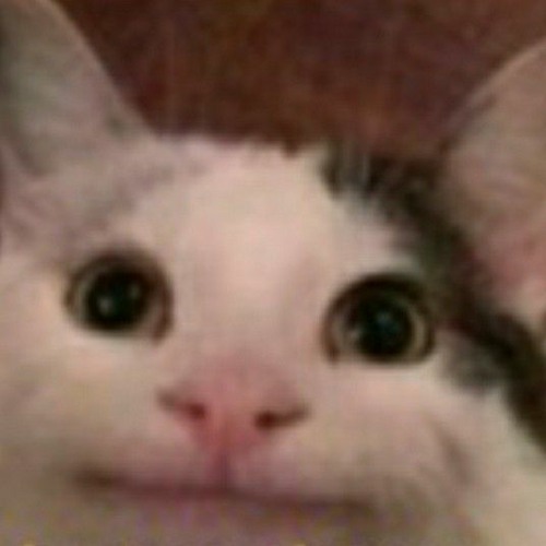 Stream Bloppa Boss Fight - fan music' to the FNF VS Raise A Funkin ...