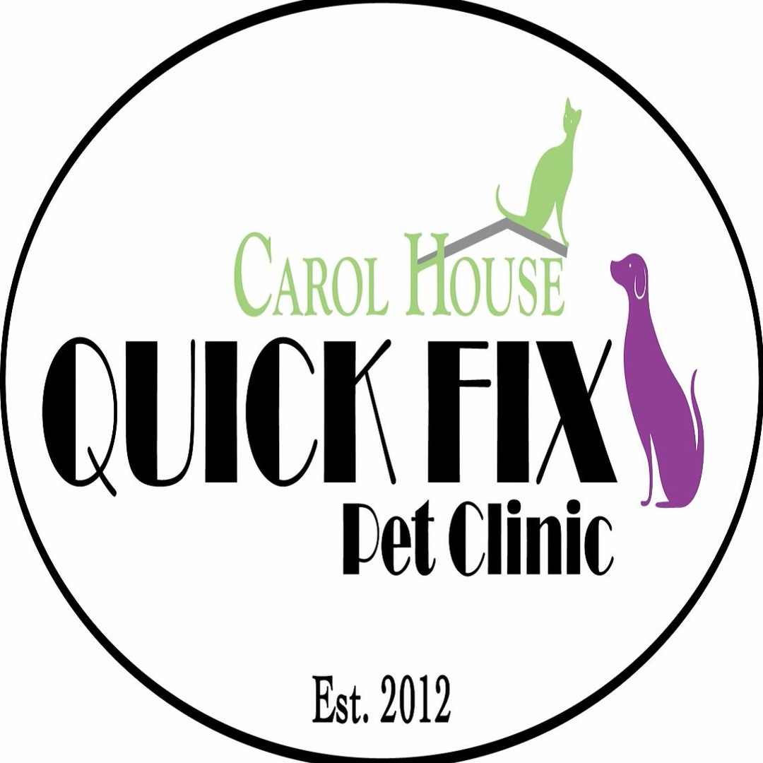 Stream Carol House Quick Fix Pet Clinic by TalkoftheTown | Listen ...