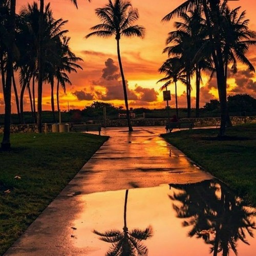 Stream Kyotto - My Own (Cover Babi) by Dasile