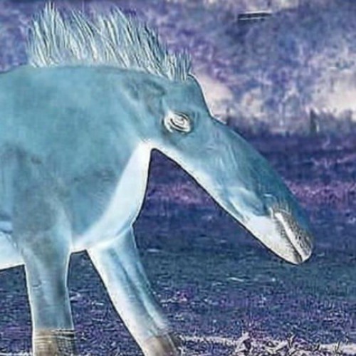 Stream Honse Magic by SunRaze | Listen online for free on SoundCloud