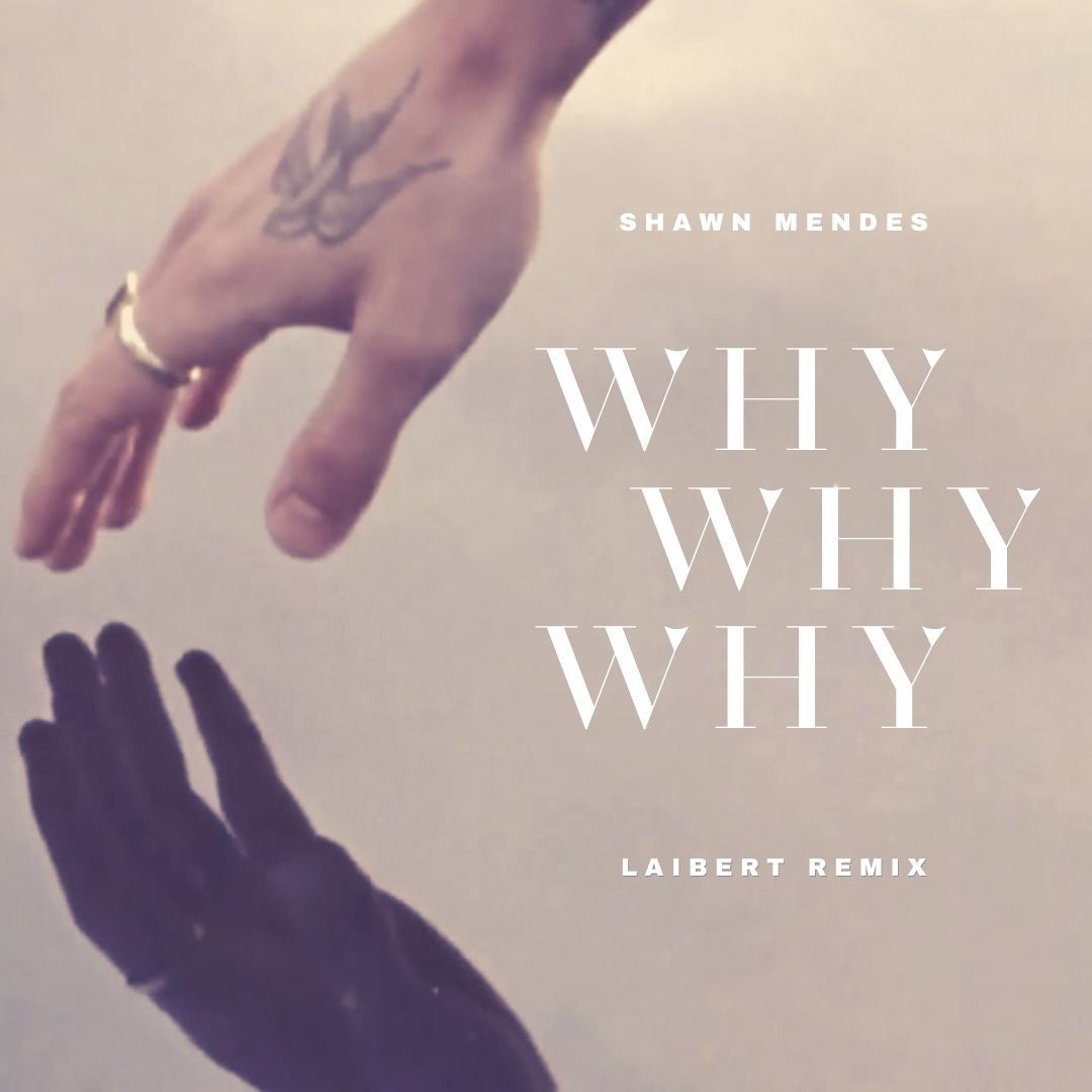 Stream Shawn Mendes - Why Why Why (Laibert Remix) by Laibert | Listen ...
