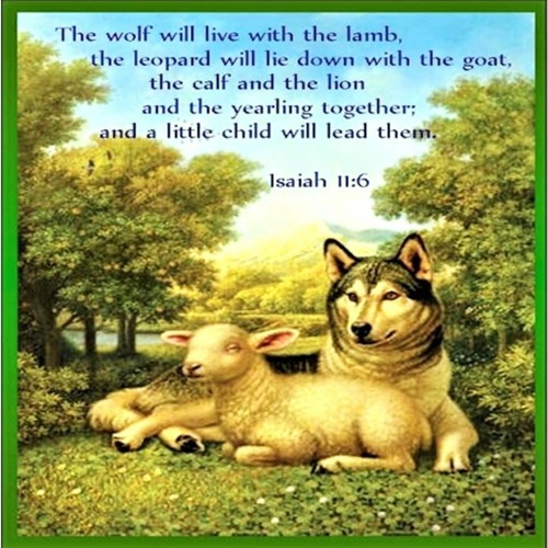Stream 246 - The Wolf & The Lamb (Isaiah 11) - 6 6 21 AM by God's Word ...