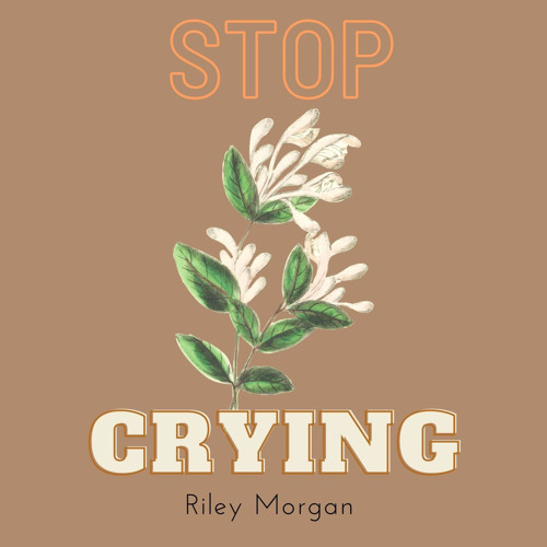 Stream Stop Crying - Riley Morgan by Riley Morgan | Listen online for ...