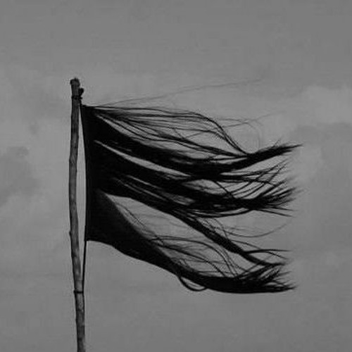 Stream Gole lale_Shahyar Ghanbari گل لاله_ شهیار قنبری by sentiment ...