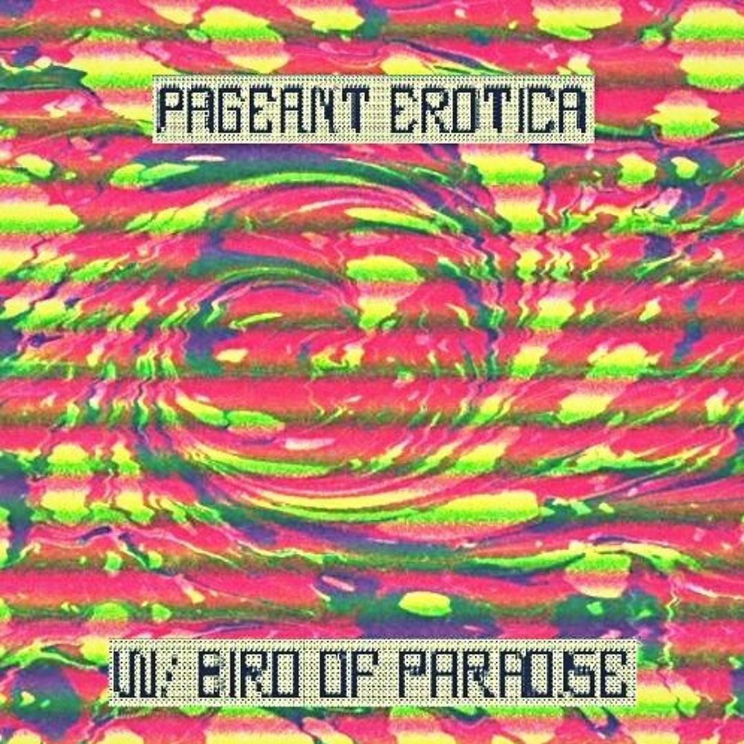 Stream Pageant Erotica w. Bird of Paradise - October 2022 by Slack's ...