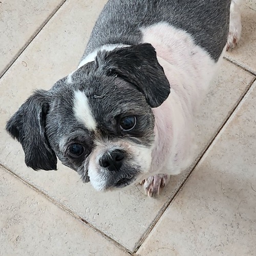 Stream 🦄Becky Boo🦄 | Listen to ️Becky's 2024 playlist online for free ...