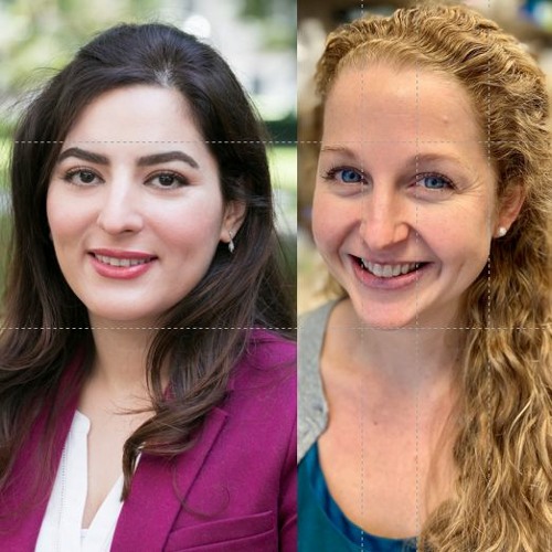 Stream episode Journal Club: Recent findings in cancer immunotherapy by ...