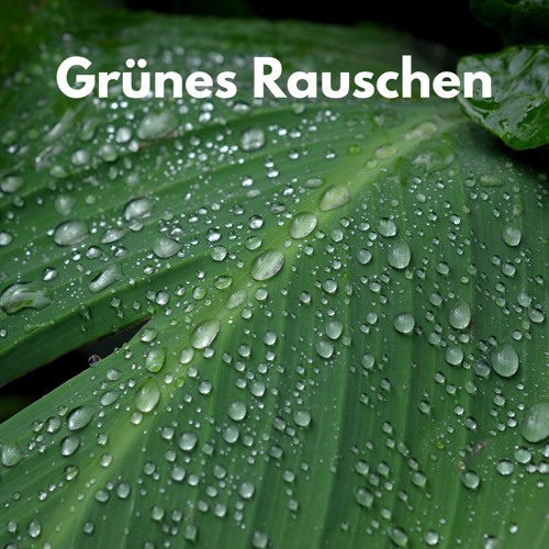 Stream Grünes Rauschen by Schlafrauschen | Listen online for free on ...
