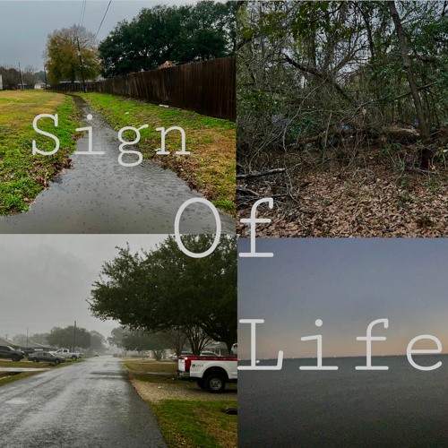 Stream Sign of life by CŮRT1S | Listen online for free on SoundCloud