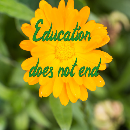 Stream Education Does Not End by Dawson Belinda | Listen online for ...