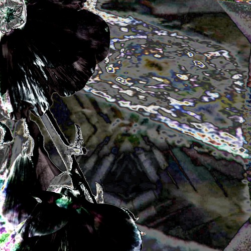 Stream Cease by sighless | Listen online for free on SoundCloud