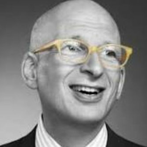 Stream Minter Dial interviews Seth Godin by The Digital Transformation ...
