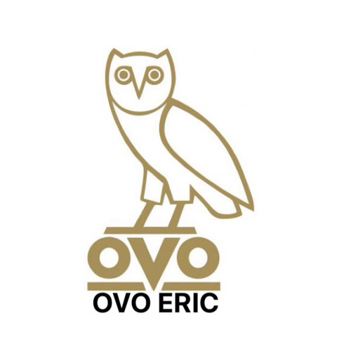 Stream SISI DIOR x OVO ERIC - GO GIRL by Digitallights | Listen online ...