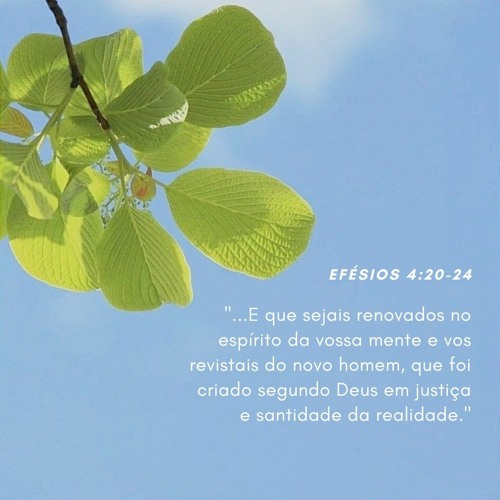 Stream Efésios 4 20 24 Part R A P R M F F O By Rebeca Alcântara