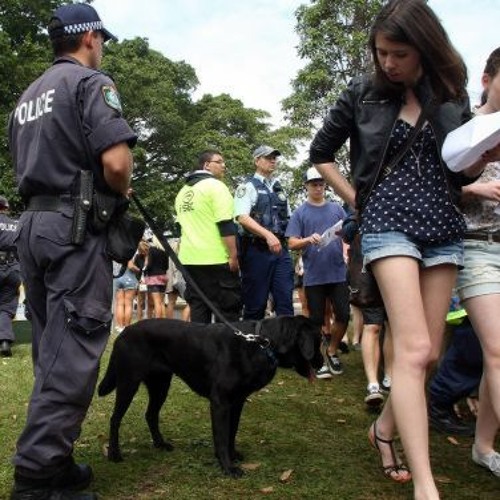 Stream The Law Show Episode 1: Strip Searching by Tim Brunero | Listen ...