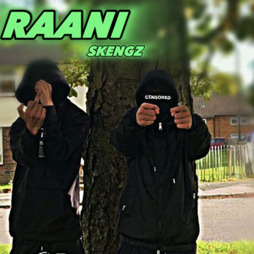 Stream RAANI-Skengz by Official Skengz | Listen online for free on ...
