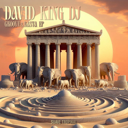 Stream David King DJ - Groove (Radio Edit) by Suave Tropikal 🌴 | Listen ...