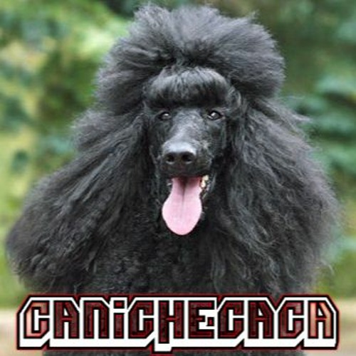 Stream THE CACA SONG by CanicheCaca | Listen online for free on SoundCloud