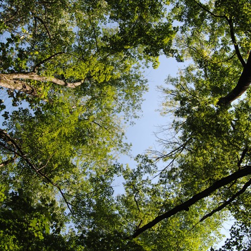 Stream Michael Genese | Listen to It will look like you - [World ...