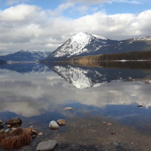 Stream 2021 FAWM 01 Why Wait by Elsa Hay | Listen online for free on ...