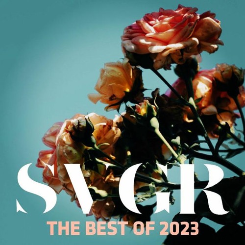 Stream SVGR | Listen to The Best Of SVGR Compilation playlist online ...