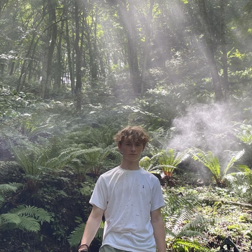 Stream Louis Fry-hall | Listen to 🕺 playlist online for free on SoundCloud