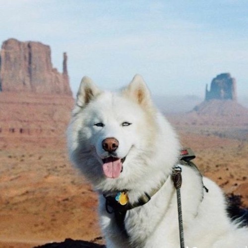 Stream Quizty Moore by Shane Bergin | Listen online for free on SoundCloud