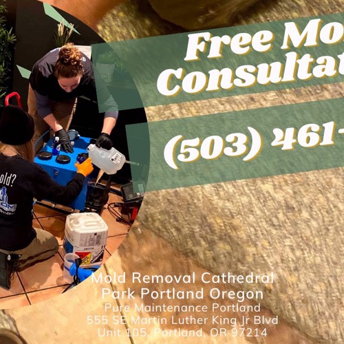 Stream Pure Maintenance Portland | Listen to Mold Removal Cathedral ...