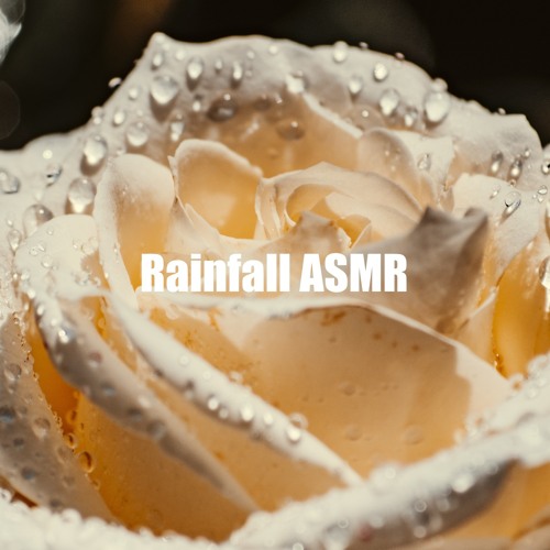 Stream Rainfall ASMR by Rainfall | Listen online for free on SoundCloud