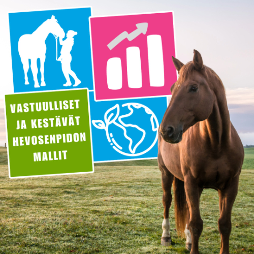 Stream Kavion kaikuja Kaustiselta - Jakso 1: Hevoskoulu opintiellä by ...