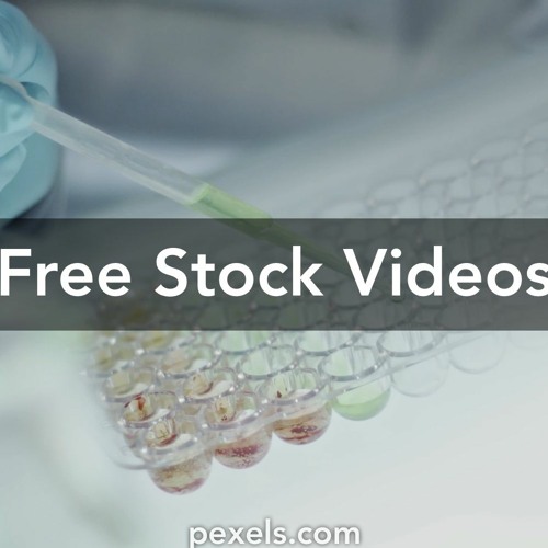 Stream How to Download Dummy Video MP4 Files for Your Projects by Tim ... Stream How to Download Dummy Video MP4 Files for Your Projects by Tim ...
