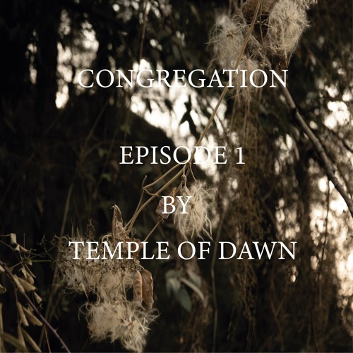 Stream Congregation Episode 1 by Temple Of Dawn | Listen online for ...