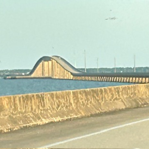 Stream Biggest Fans by RJ Rhodes | Listen online for free on SoundCloud