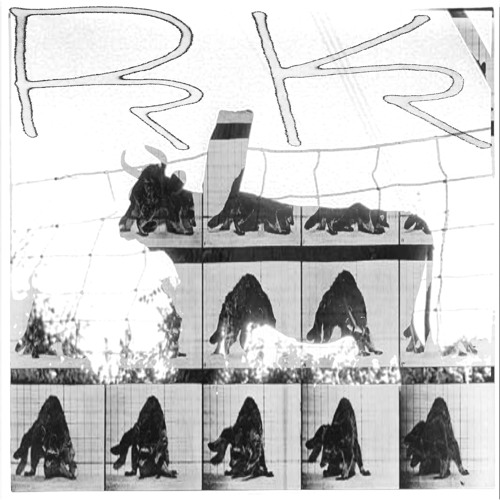 Stream raccoon king | Listen to RK playlist online for free on SoundCloud