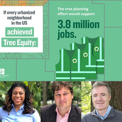 Stream How Trees Can Boost the US Economy - American Forests on Big ...