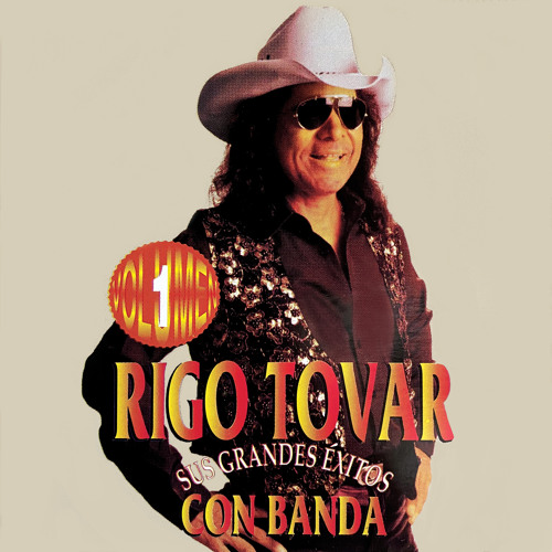 Stream Mi Matamoros Querido (Versión Banda) by Rigo Tovar | Listen ...