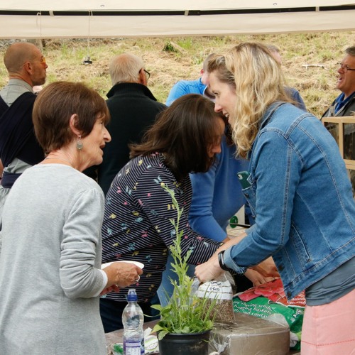 Stream Interview with Michael Bradley The Arts Show by Eileen Hutton ...