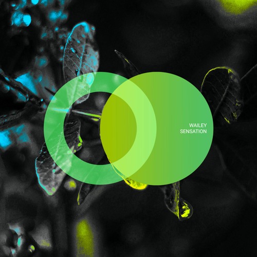 Stream Wailey - Straw Of Doom by Area Verde | Listen online for free on ... Stream Wailey - Straw Of Doom by Area Verde | Listen online for free on ...