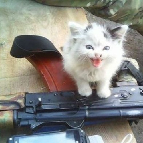 Stream 3mpt19366 | Listen to yuke playlist online for free on SoundCloud