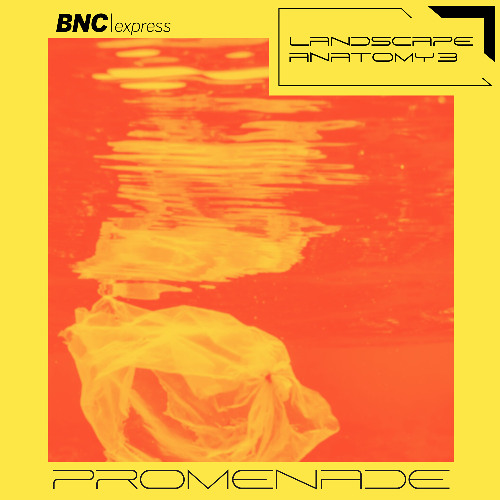 Stream Promenade 'Escape The Land' [BNCexpress] by dtdnb | Listen ...