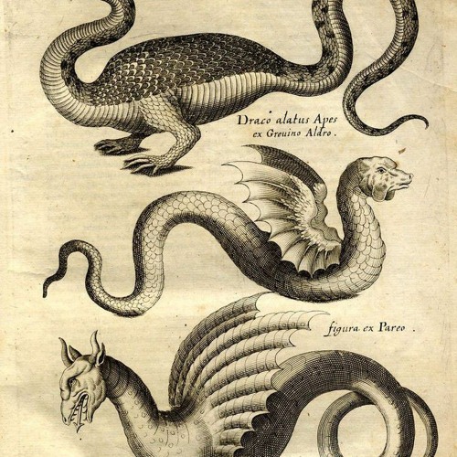 Stream Devil Spine Anatomy by ANUBIS ܗܺܝܫܰܐܡ | Listen online for free ...